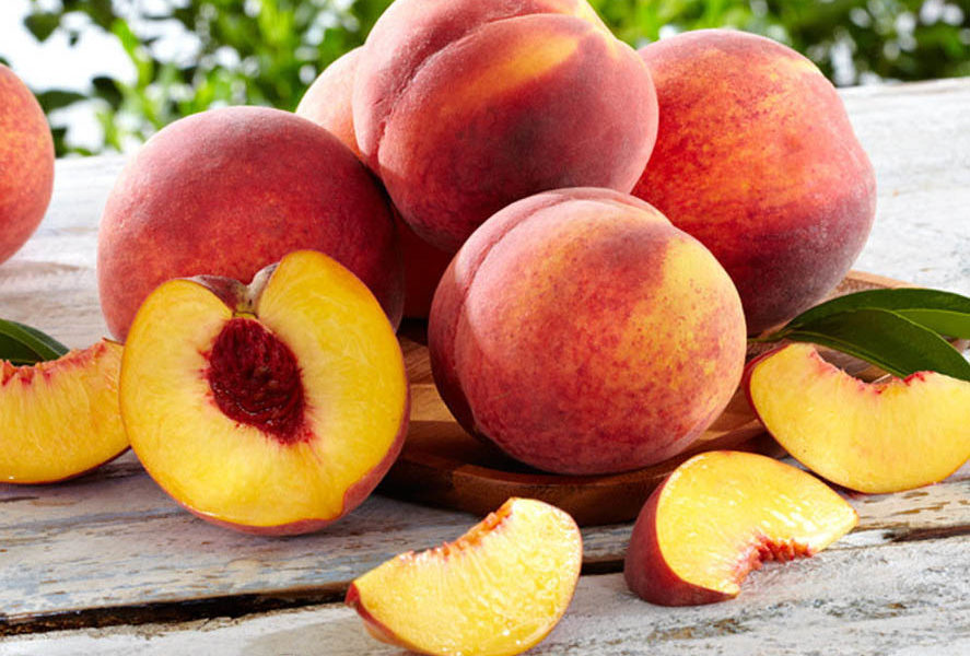 KPK, Northern areas have the potential to produce the Queen of fruits ...